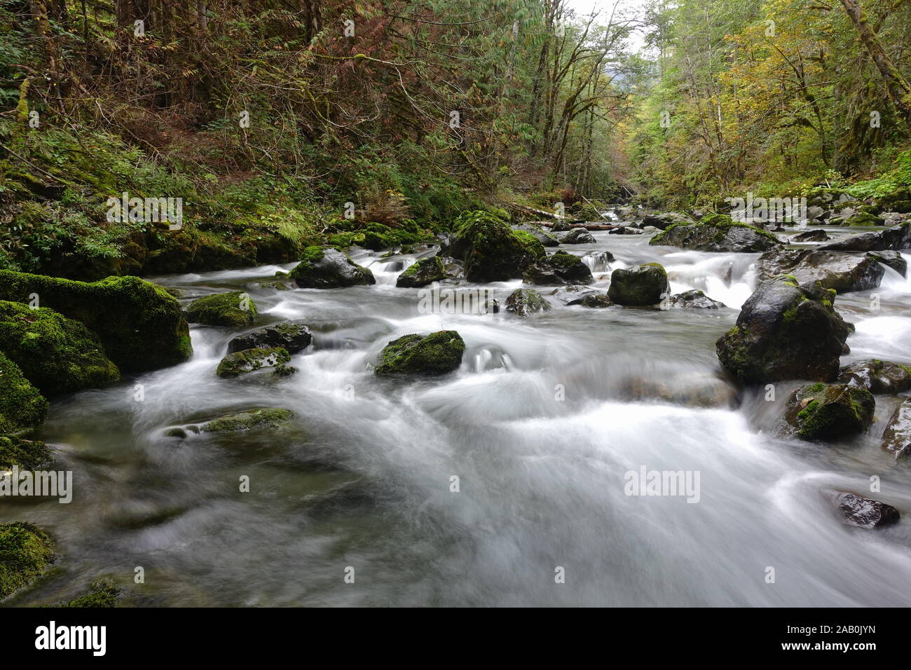 Hamma hi-res stock photography and images - Alamy