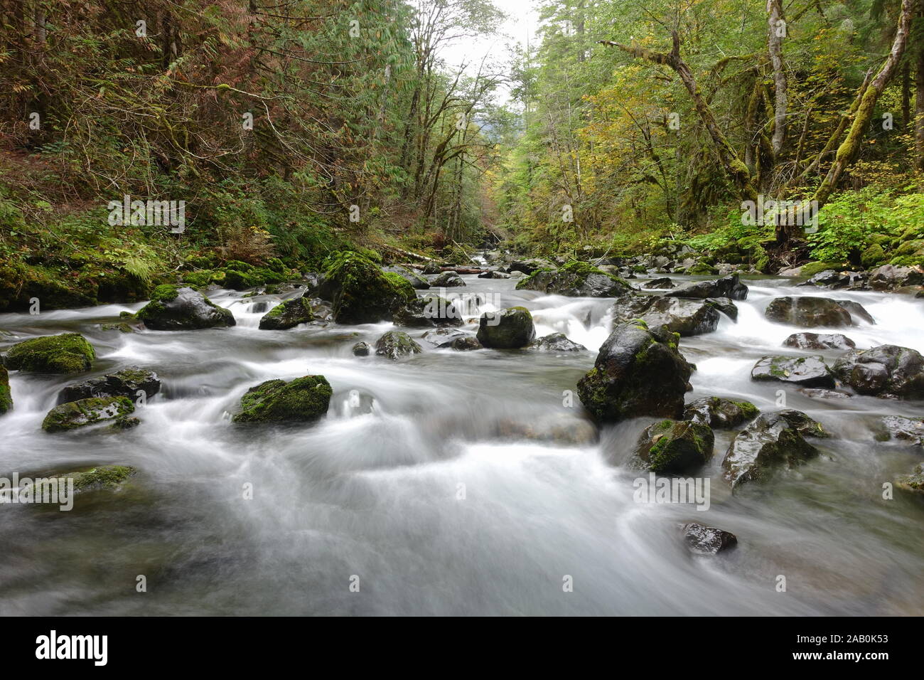 Washington olympic peninsula river hi-res stock photography and images ...