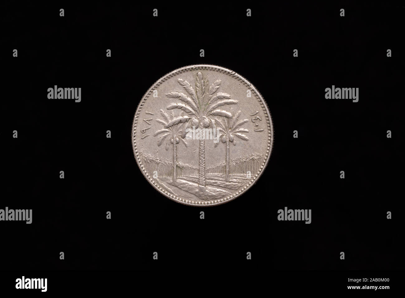 Isolated Old Palm Tree High Resolution Stock Photography and Images - Alamy