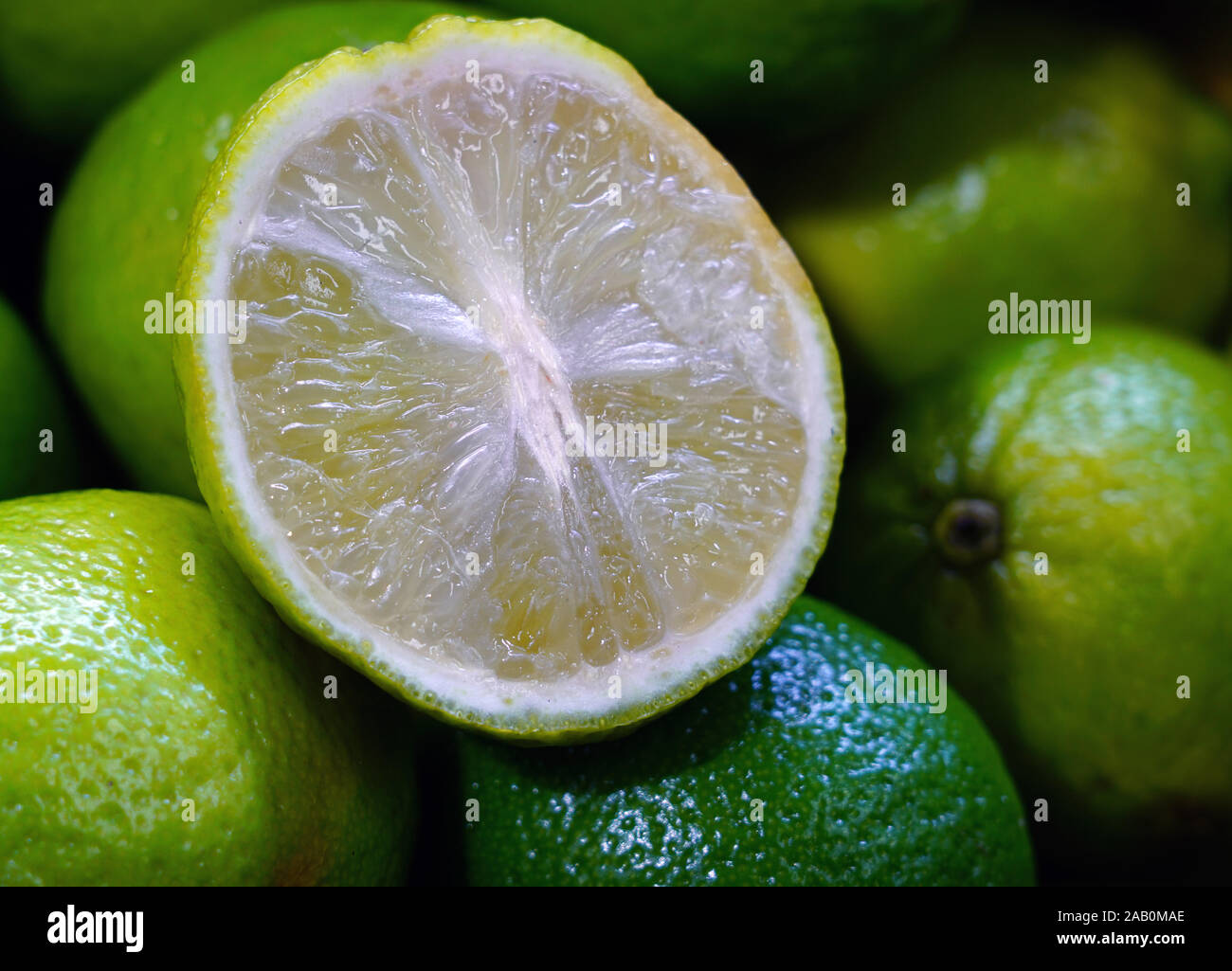 Green lime cut in half Stock Photo - Alamy