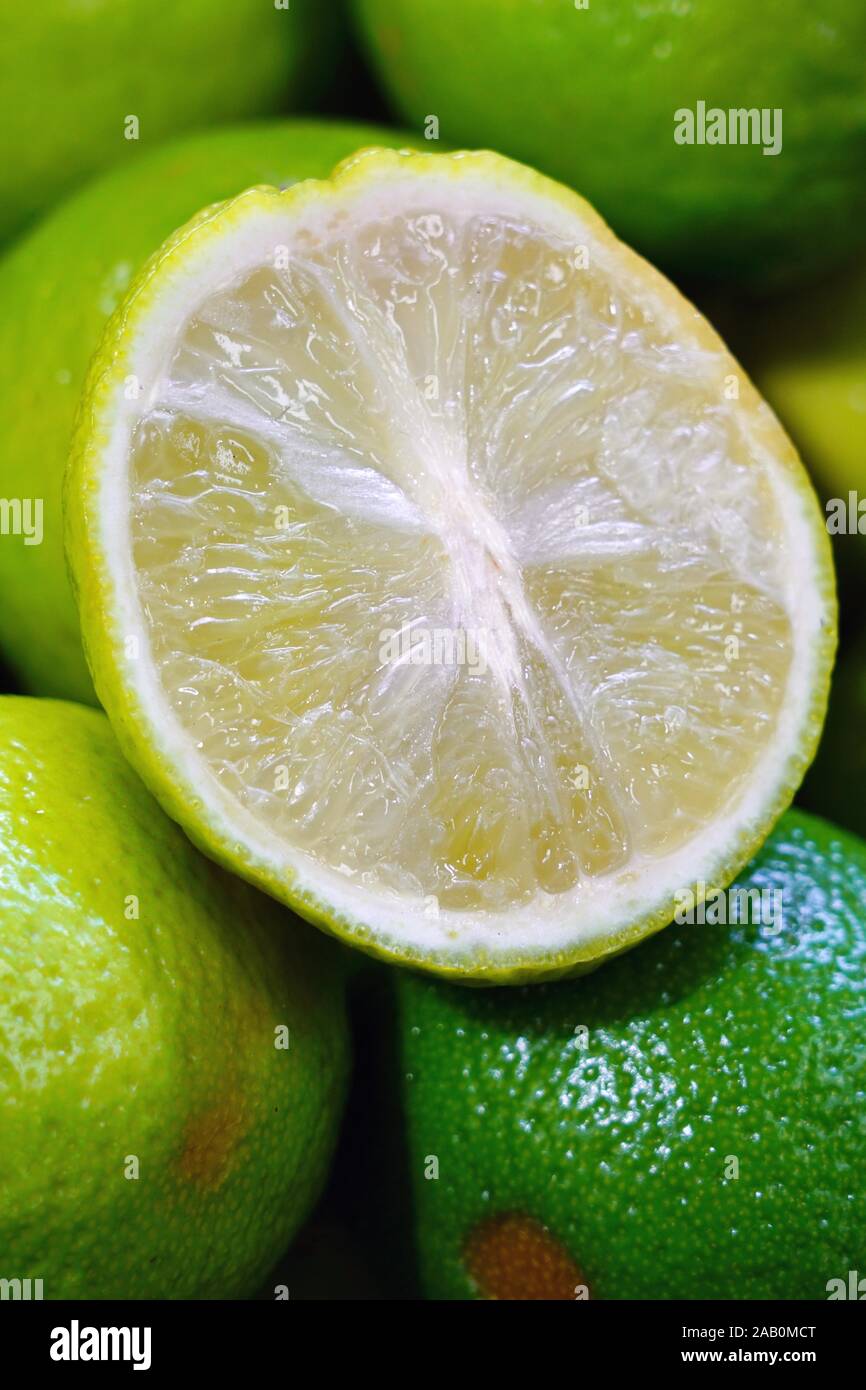 Green lime cut in half Stock Photo - Alamy