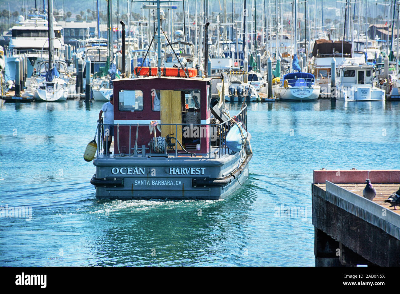 The Ocean Harvest, a commercial fishing boat, launches from the docks ...
