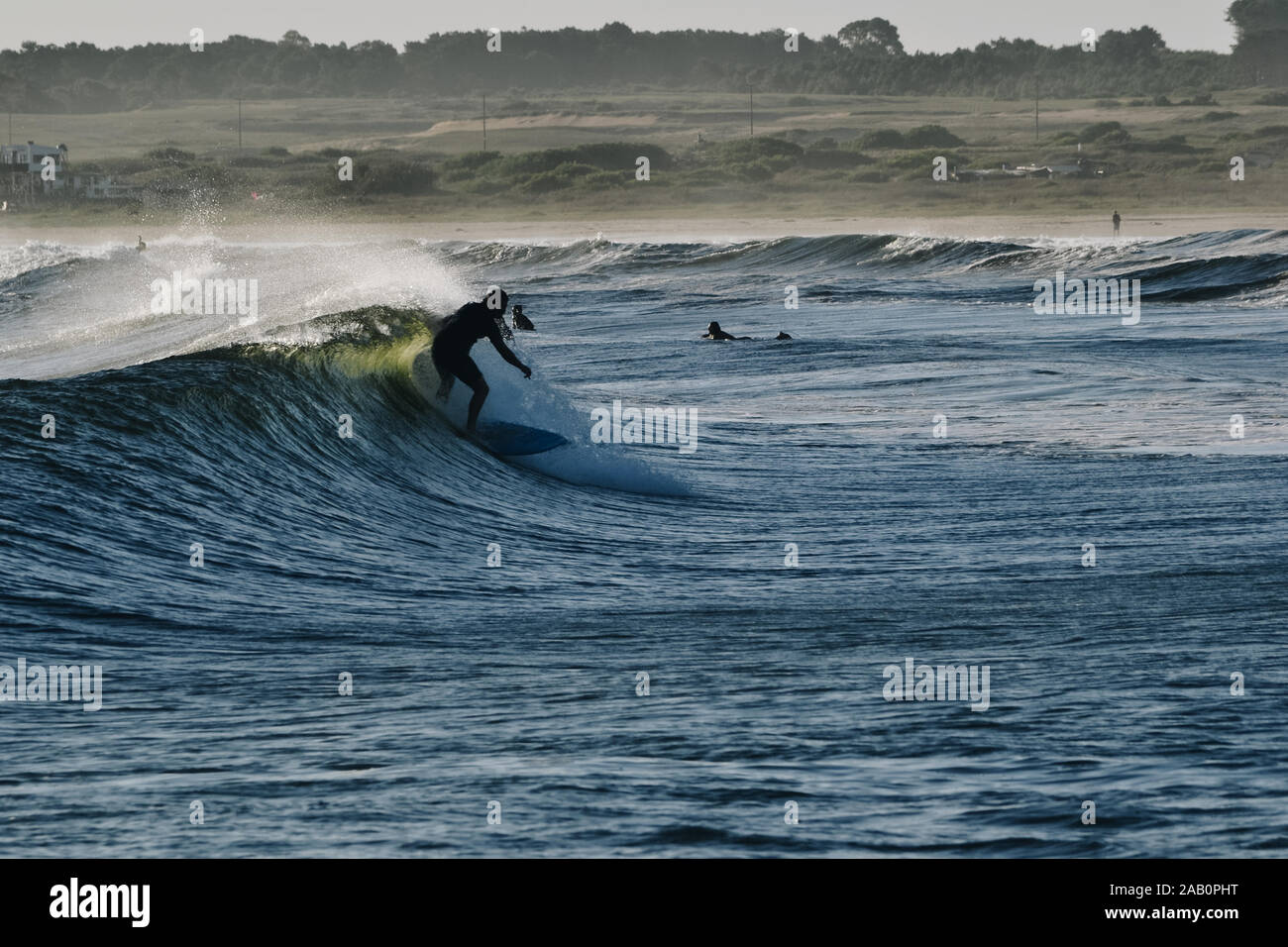 Men surfing a wave in the Atlantic Ocean Stock Photo - Alamy