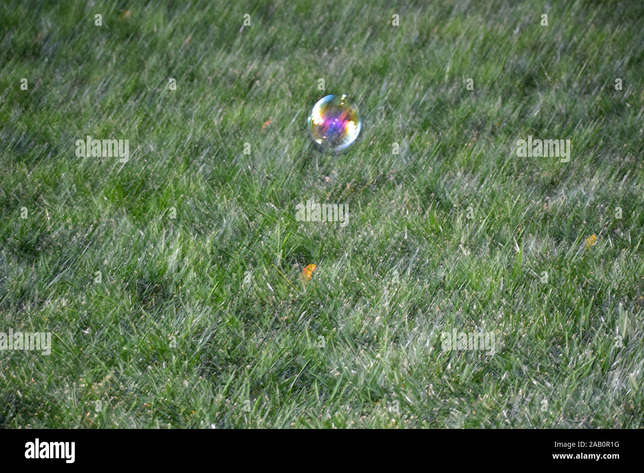 Soap Bubbles Floating in the Air Stock Photo - Alamy