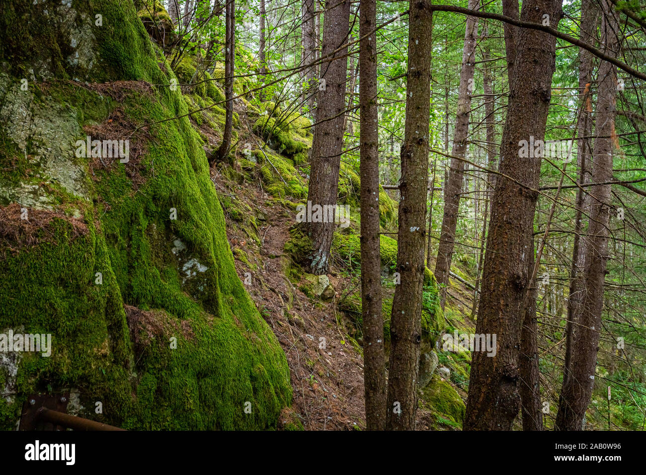 North Cascades National Park is a remote, rugged wilderness in the ...