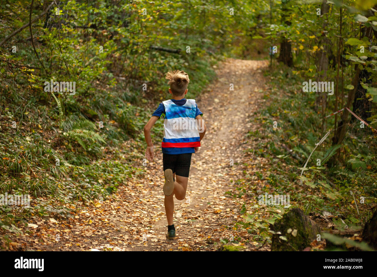 Sports running competition among children. Cross country running ...
