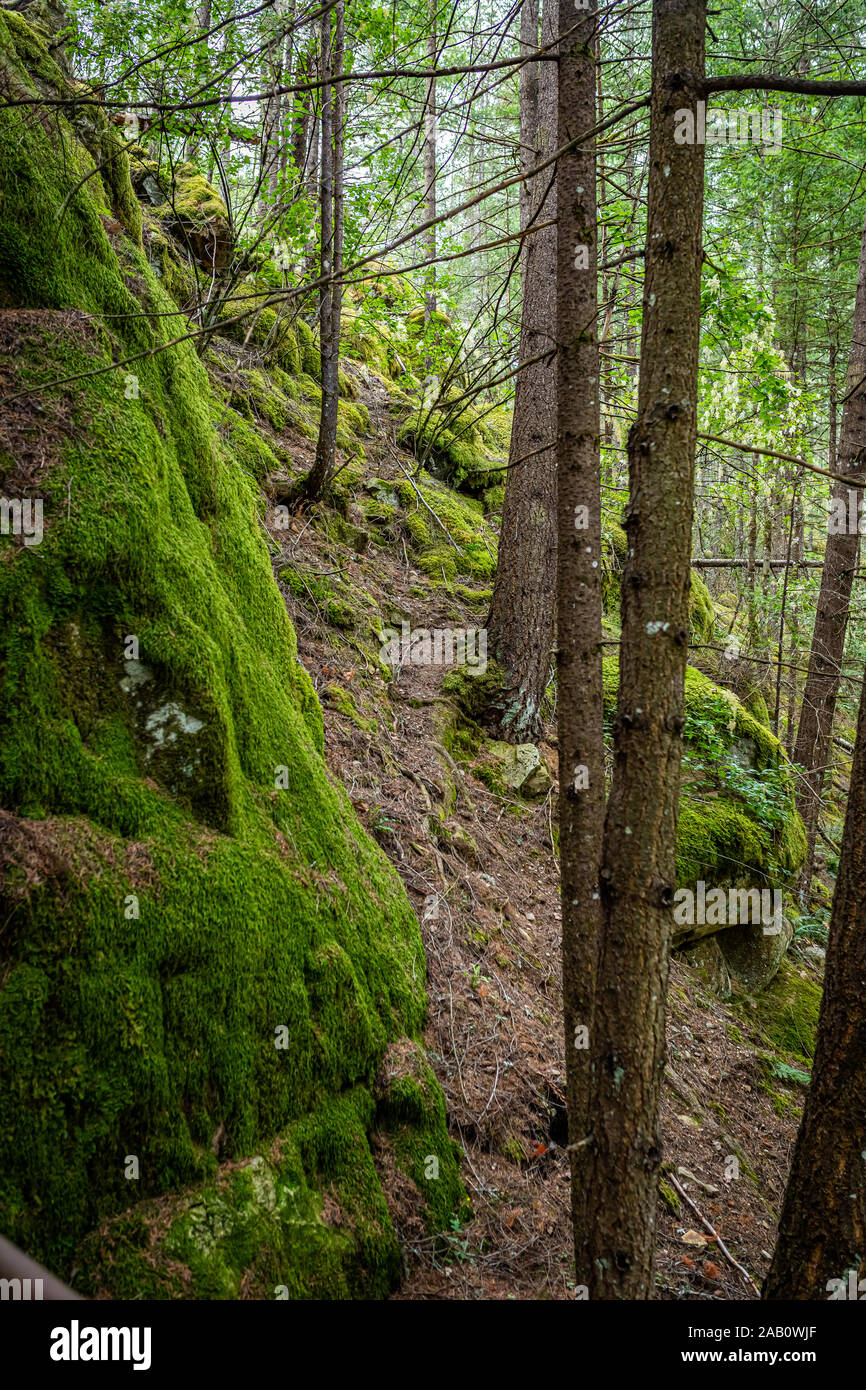 North Cascades National Park is a remote, rugged wilderness in the ...