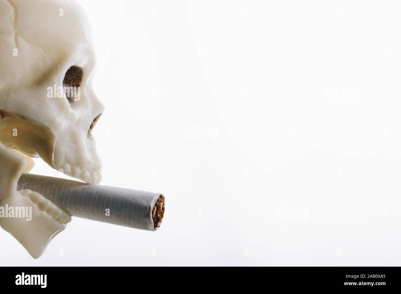 Cigarette Smoking Skeleton High Resolution Stock Photography and Images ...