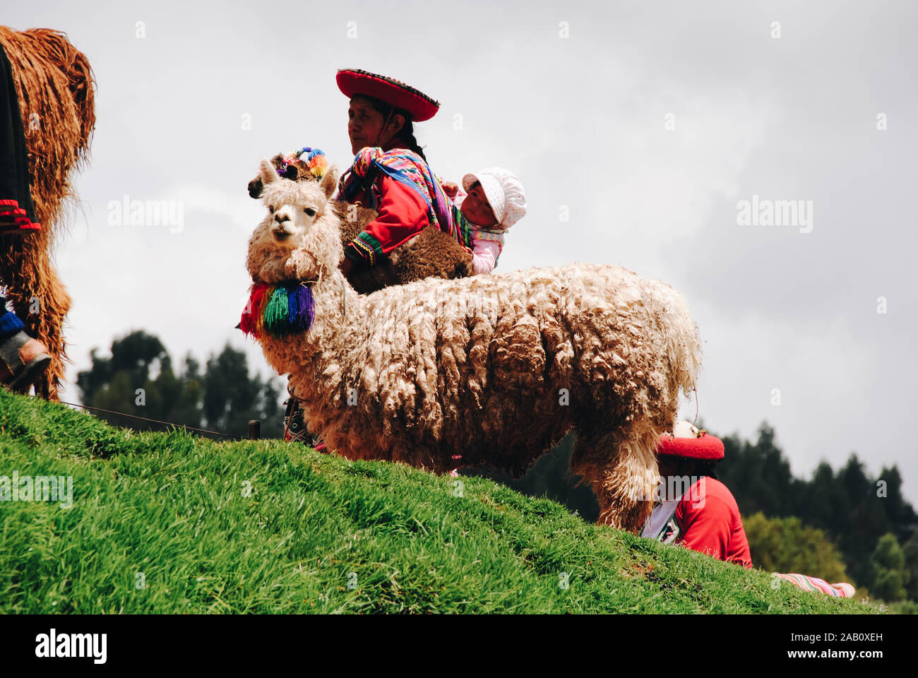 Peruvian family with his Lama Stock Photo - Alamy