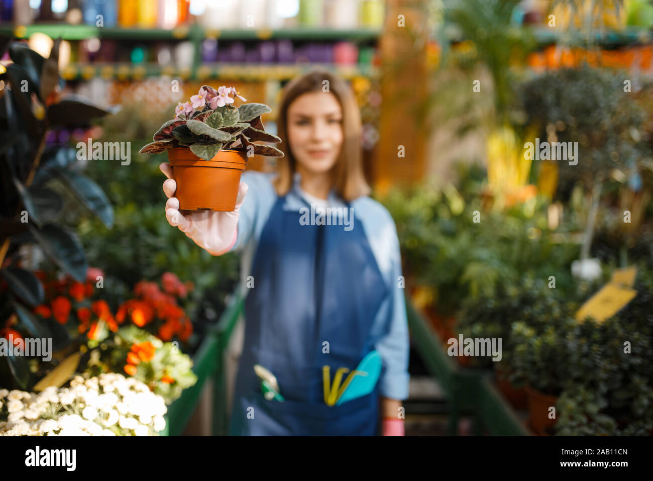 Gardener with flower and garden spray, shop Stock Photo - Alamy