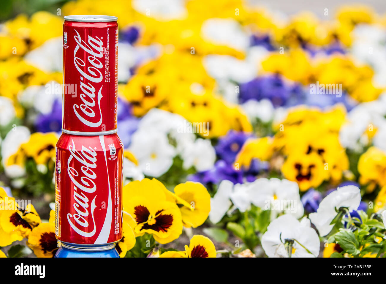 photo of Classic Coca Cola can, Coca-Cola Company is the most popular ...