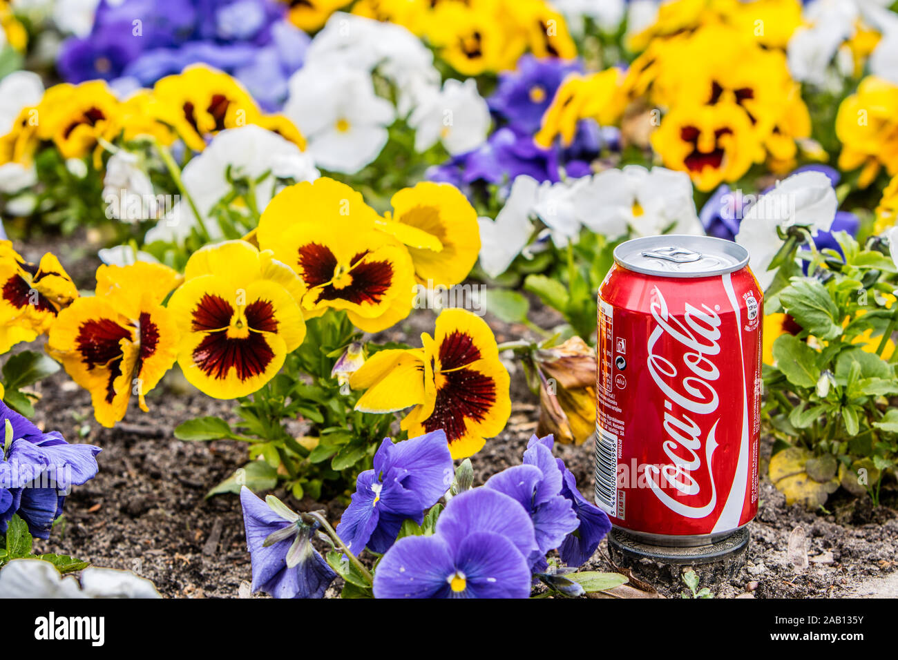 photo of Classic Coca Cola can, Coca-Cola Company is the most popular ...