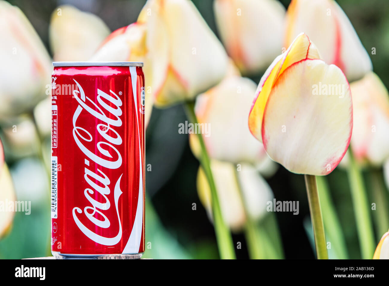photo of Classic Coca Cola can, Coca-Cola Company is the most popular ...