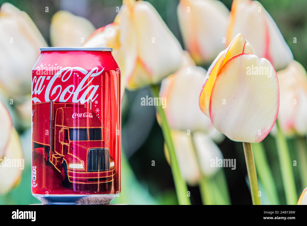 photo of Classic Coca Cola can, Coca-Cola Company is the most popular ...