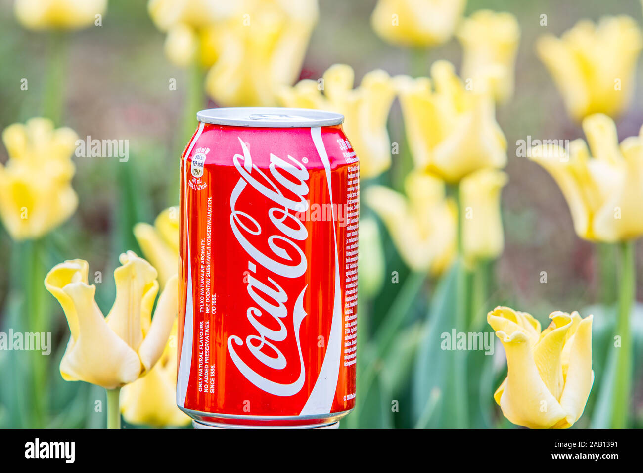 photo of Classic Coca Cola can, Coca-Cola Company is the most popular ...