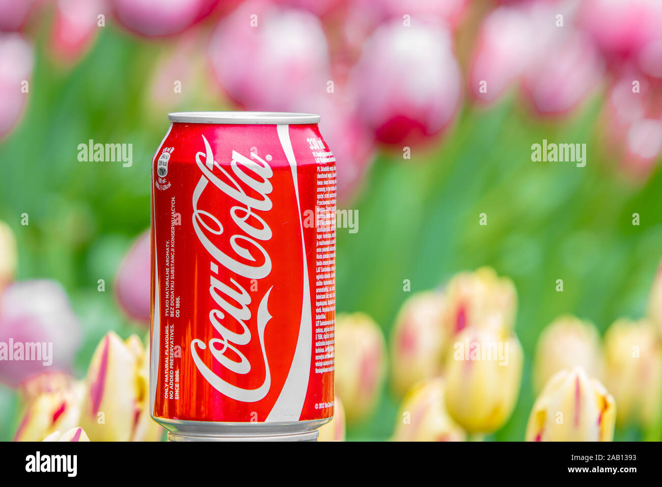 photo of Classic Coca Cola can, Coca-Cola Company is the most popular ...