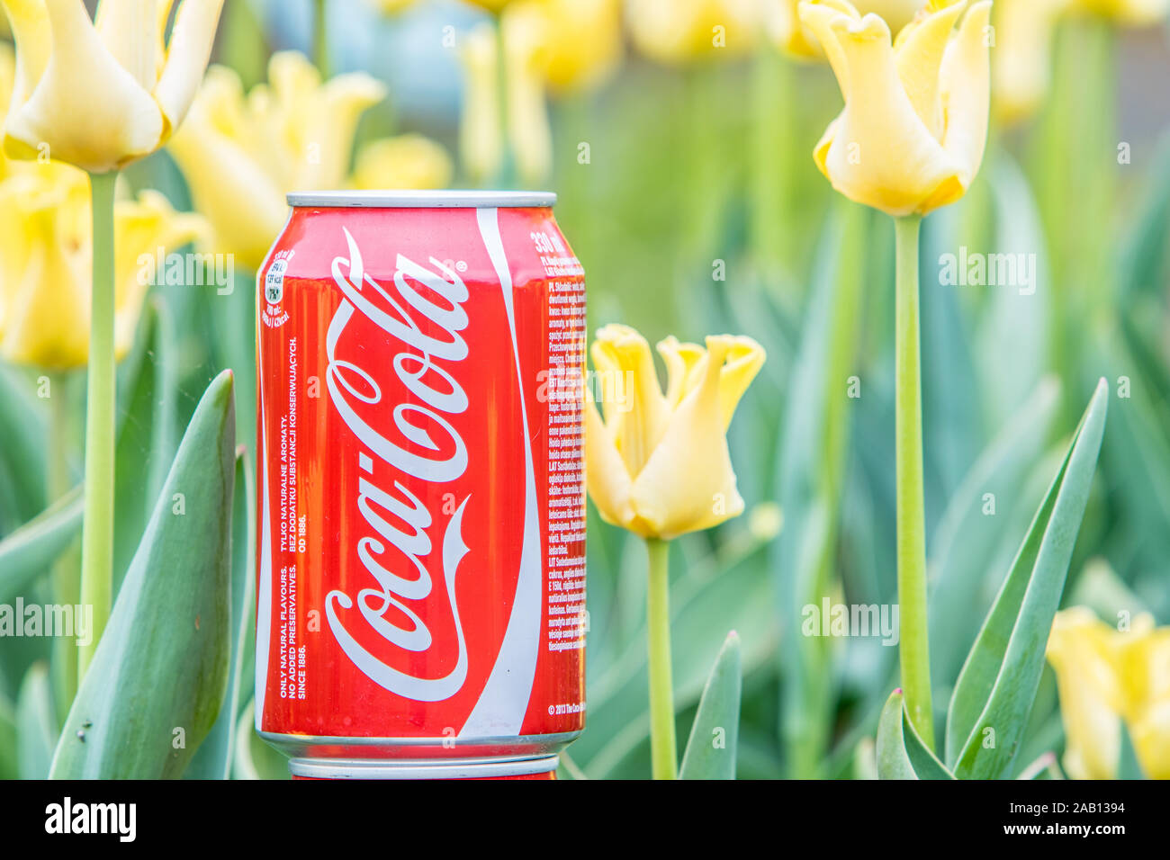 photo of Classic Coca Cola can, Coca-Cola Company is the most popular ...
