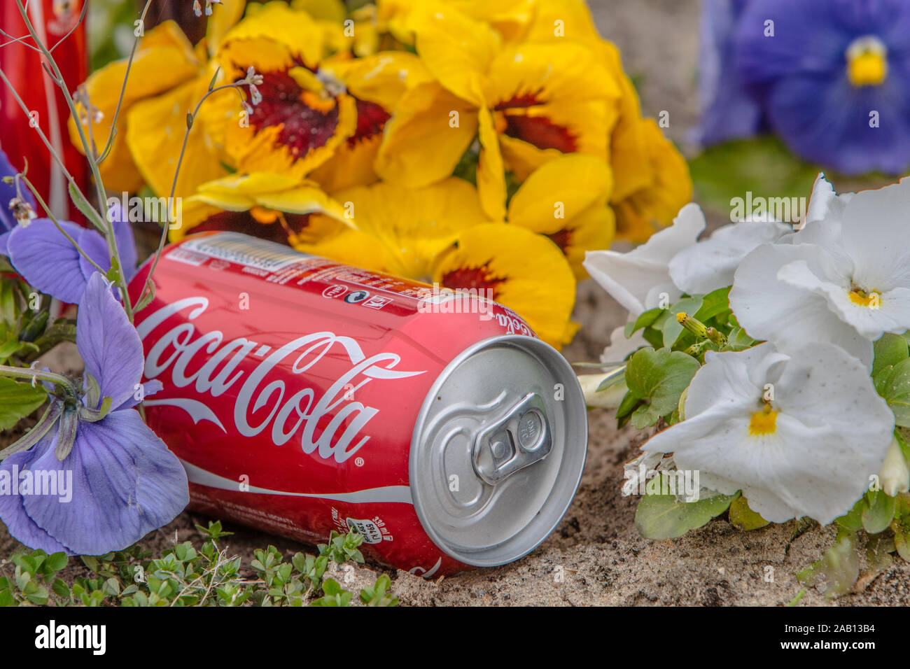 photo of Classic Coca Cola can, Coca-Cola Company is the most popular ...