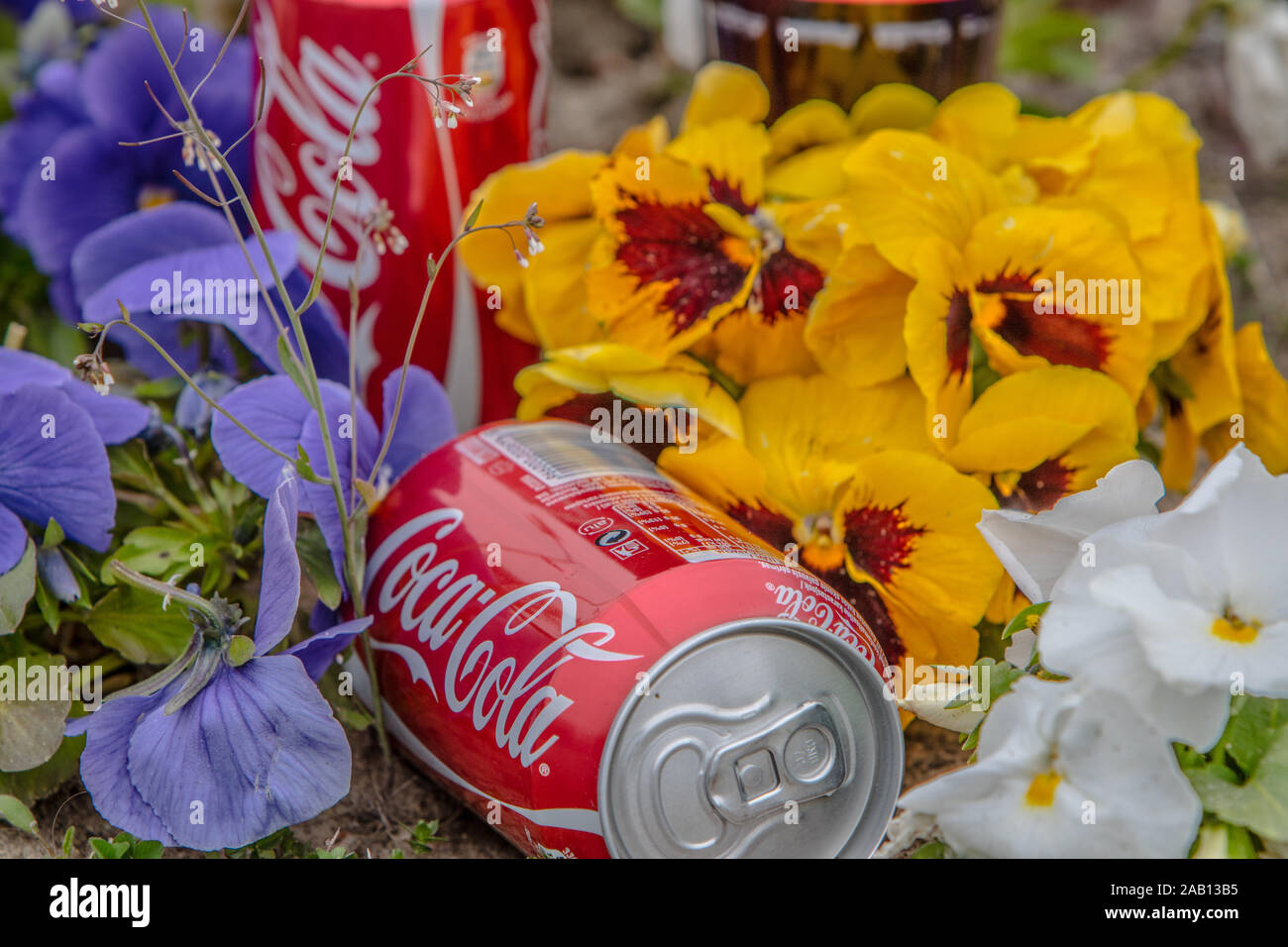 photo of Classic Coca Cola can, Coca-Cola Company is the most popular ...