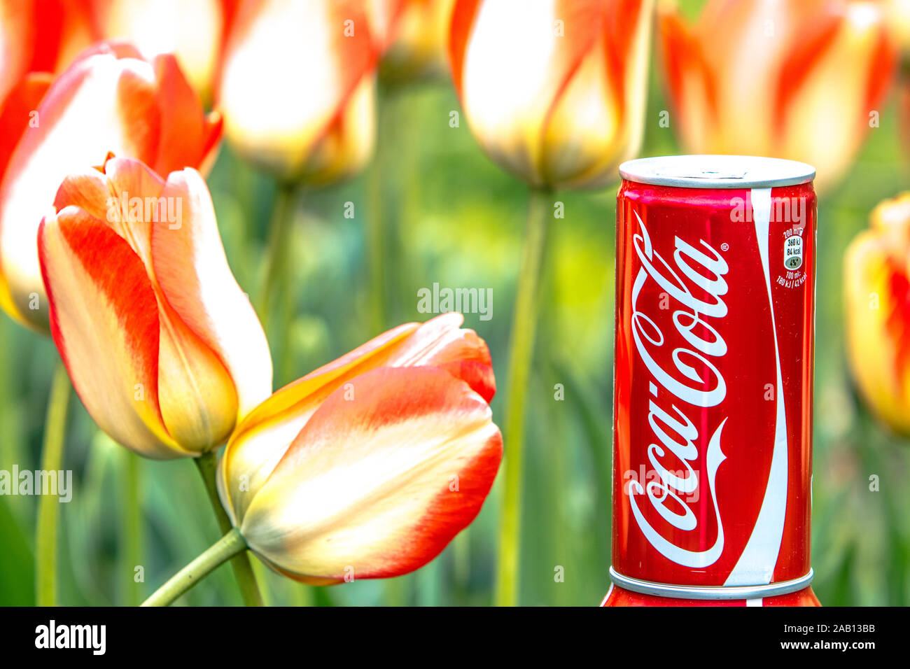 photo of Classic Coca Cola can, Coca-Cola Company is the most popular ...