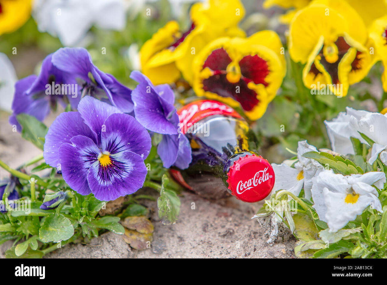 photo of Classic Coca Cola can, Coca-Cola Company is the most popular ...