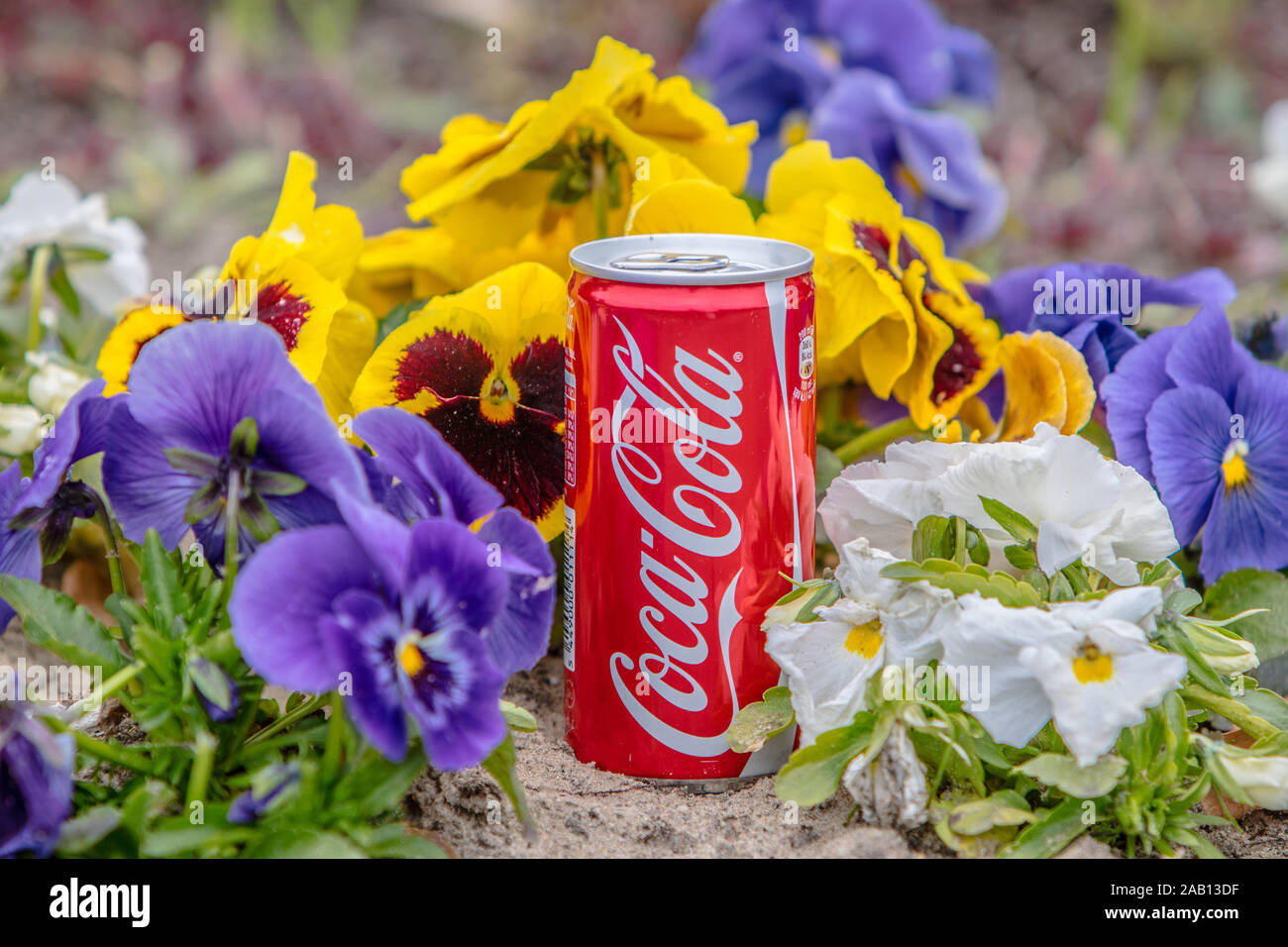 photo of Classic Coca Cola can, Coca-Cola Company is the most popular ...