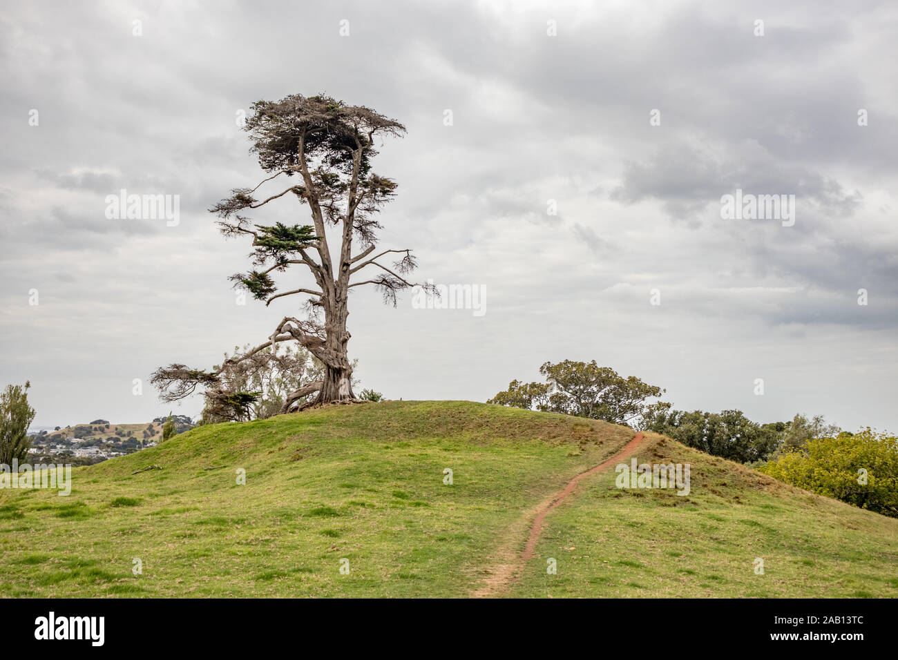 One tree hill new zealand hi-res stock photography and images - Alamy