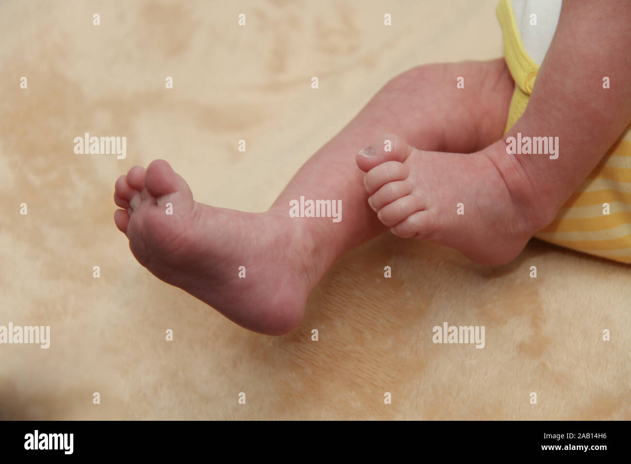 Photo of the Newborn 20 days baby feets Stock Photo - Alamy