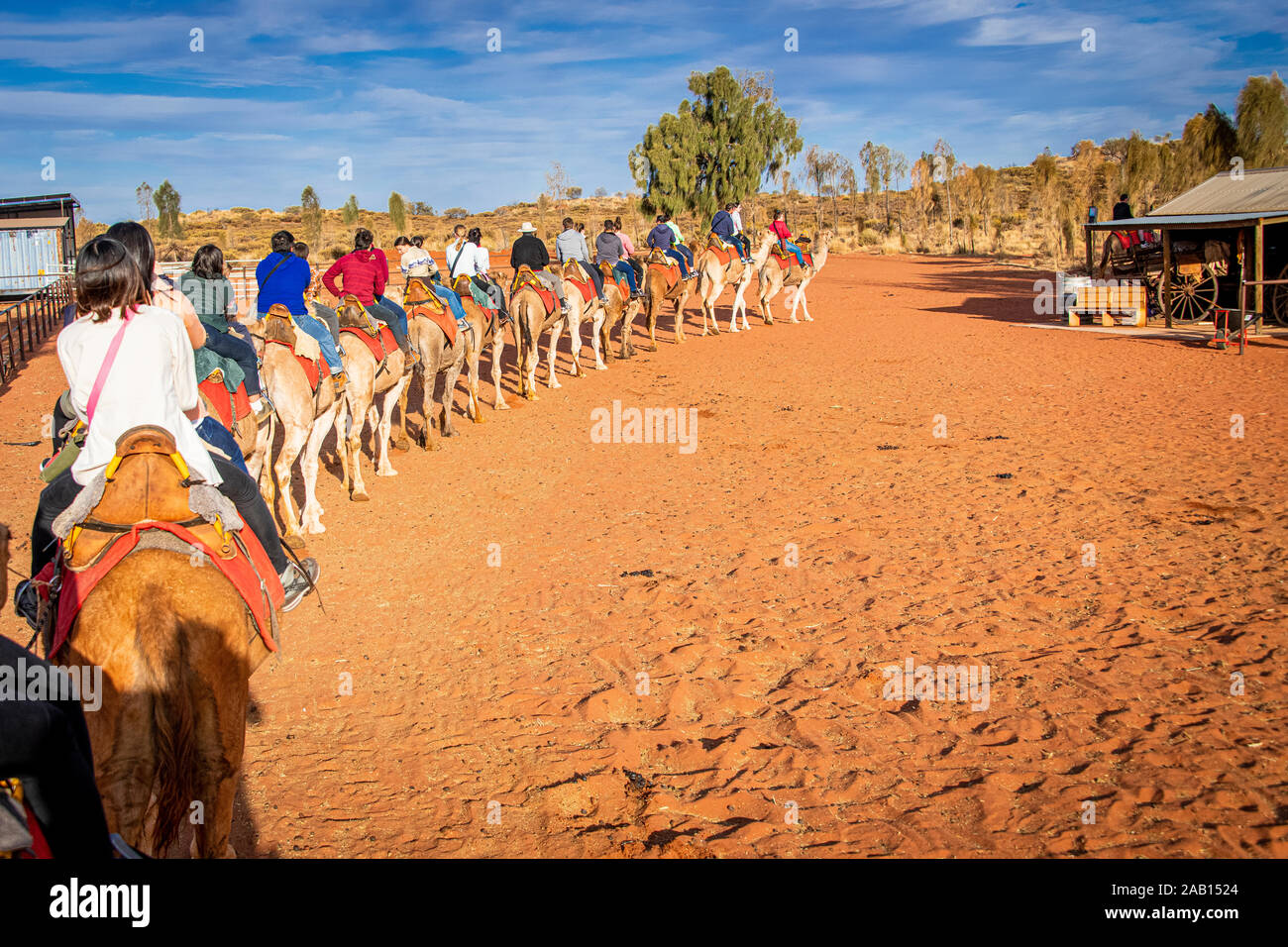 Camel sunset tour leaves the camel farm heading for the red sand dunes ...