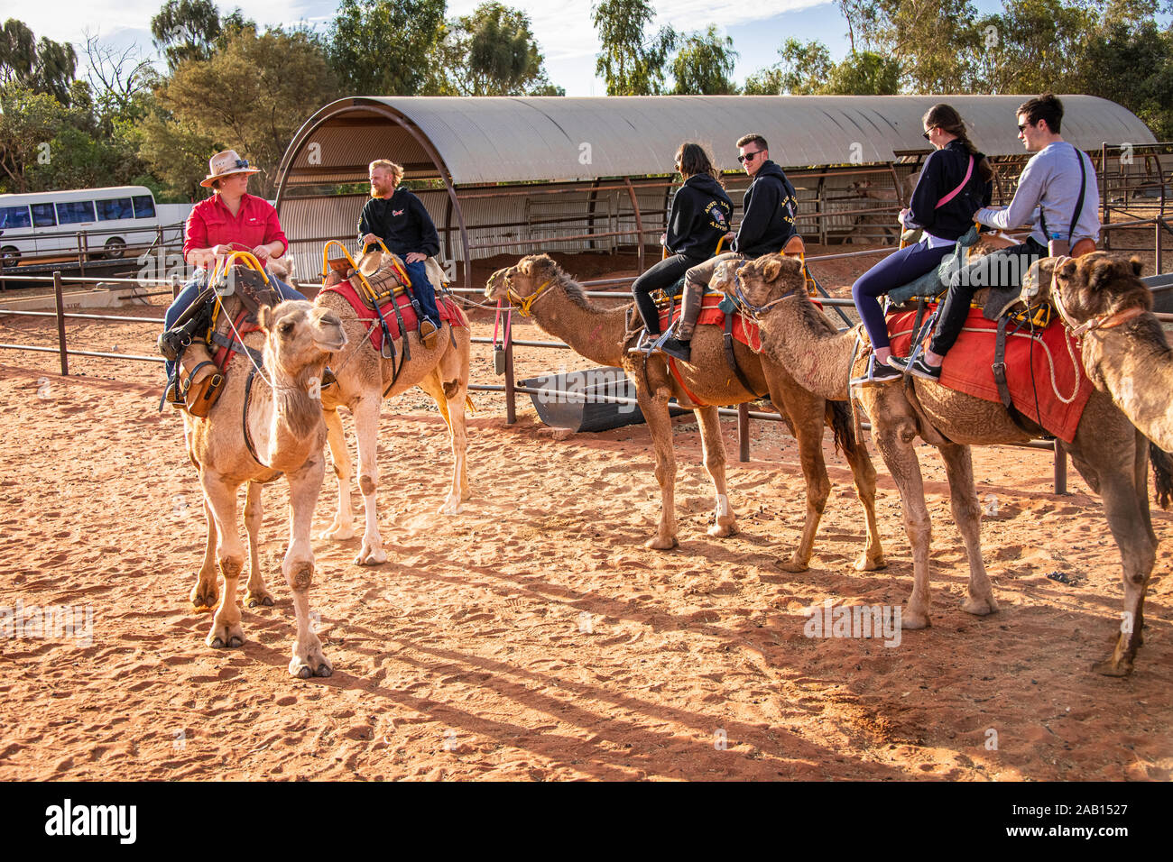 Camel sunset tour leaves the camel farm heading for the red sand dunes ...