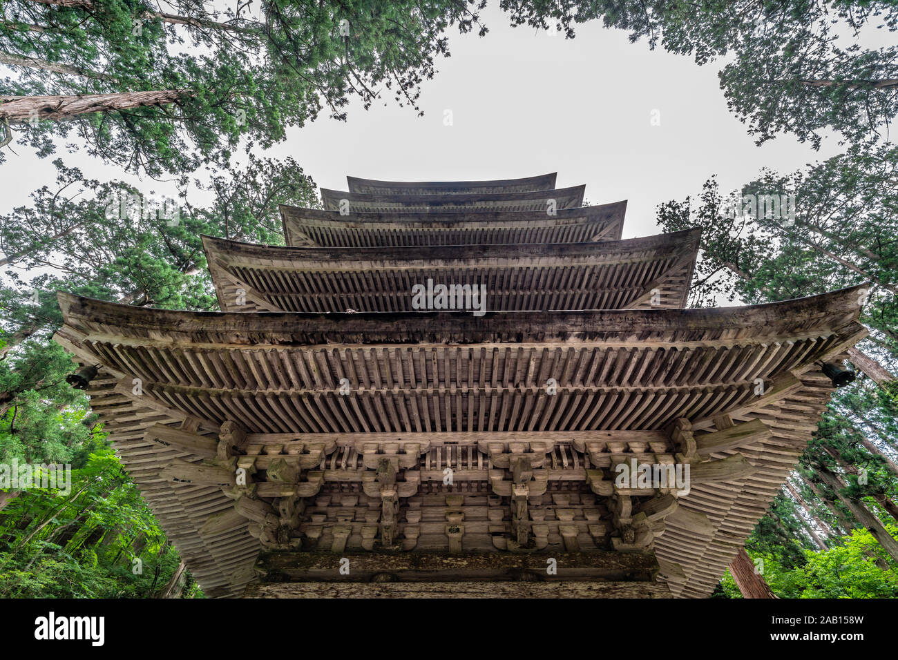 Five Story Pagoda surounded by Sugi trees at Mount Haguro, One of the ...