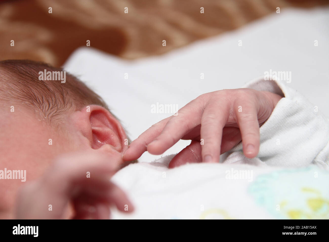 Photo of the Hand of the little male baby Stock Photo - Alamy