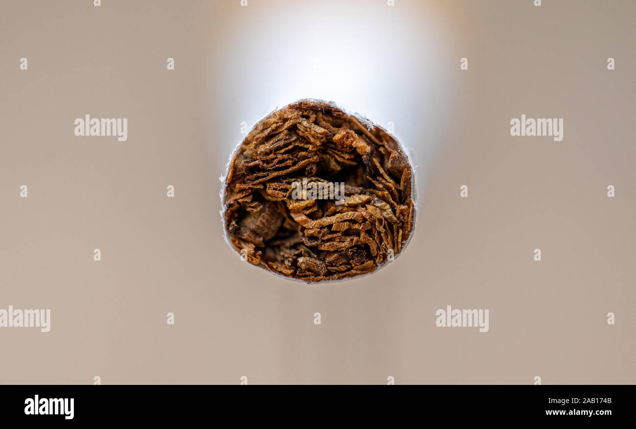 cigarette detail macro smoke in cigar Stock Photo - Alamy