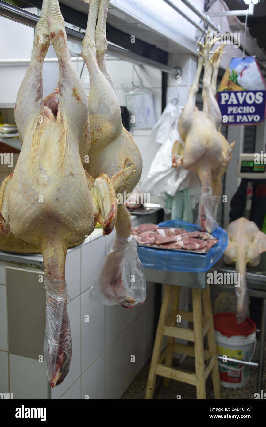 Turkey and peru hi-res stock photography and images - Alamy