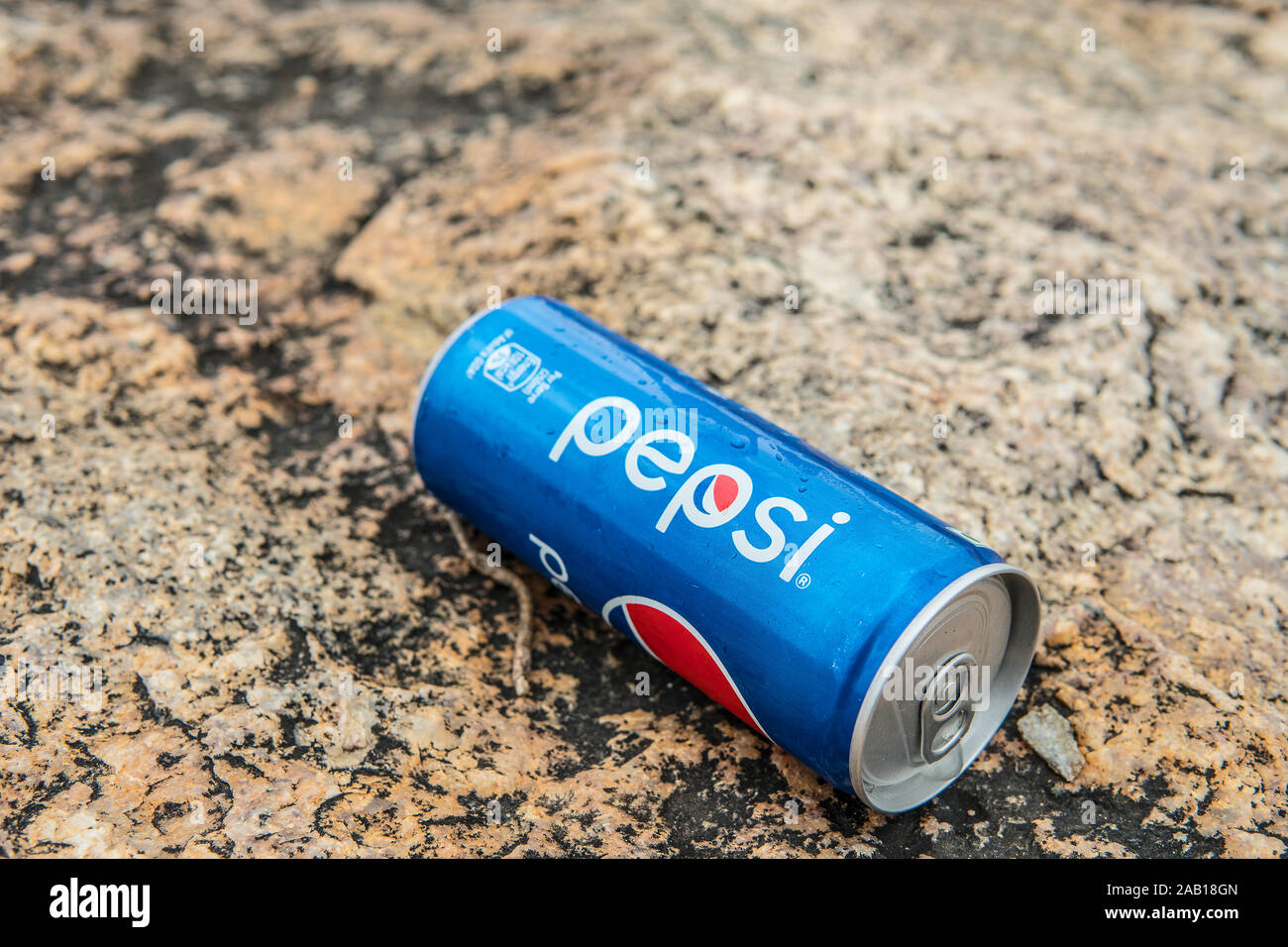 Bengaluru city, Lalbagh Botanical Garden Park, Pepsi Cola can on rocky ...