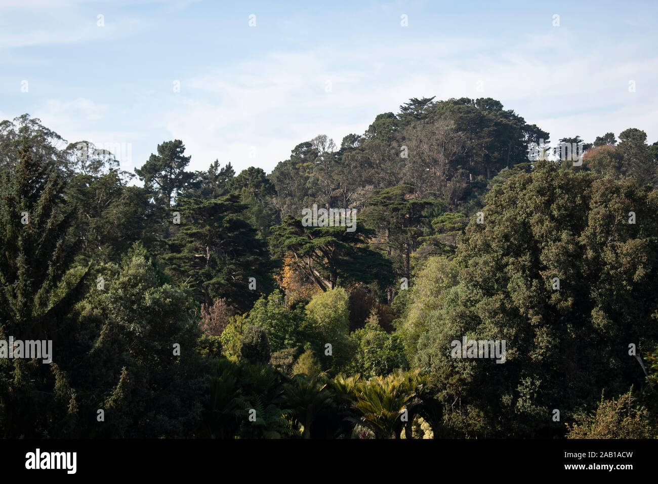 Golden gate handrail hi-res stock photography and images - Alamy