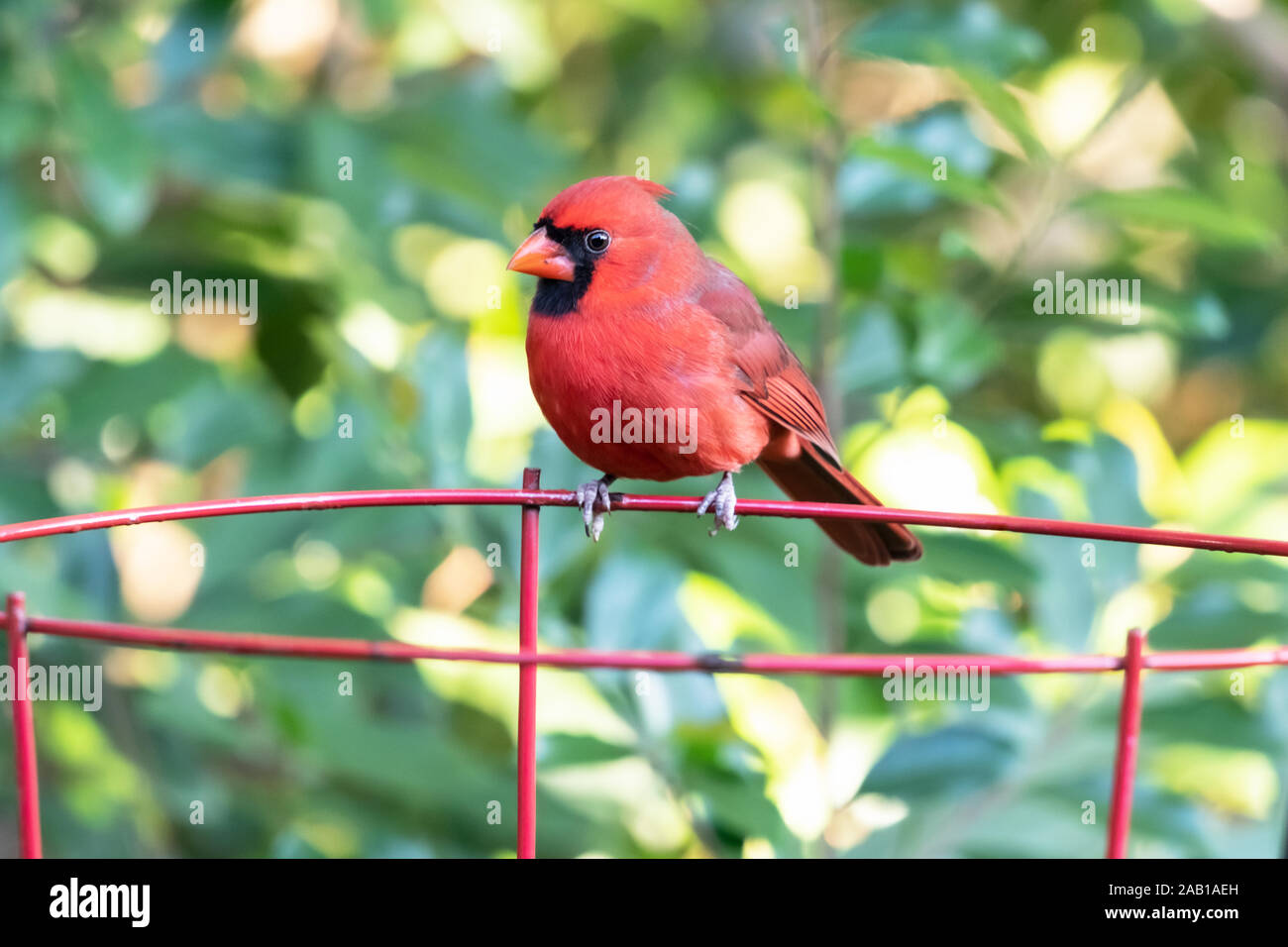 Blurry backgrpund hi-res stock photography and images - Alamy