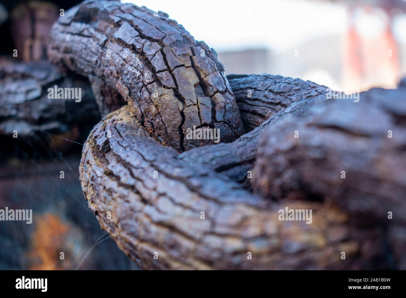 Large chain link barriers protect people from the ocean at Fort Point ...