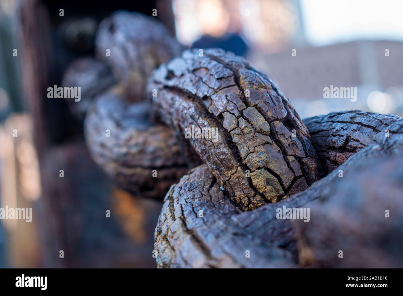Large chain link barriers protect people from the ocean at Fort Point ...