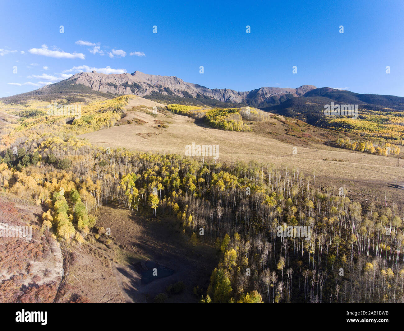 Autumn aspen color near Crested Butte, Colorado Stock Photo - Alamy