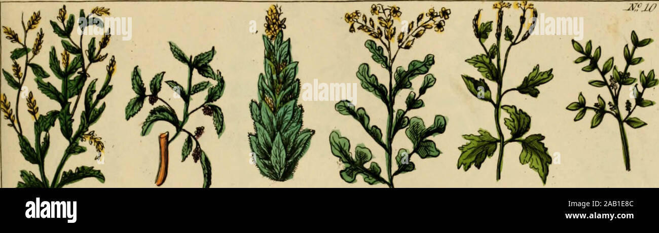 Culpepper's complete herbal hi-res stock photography and images - Alamy