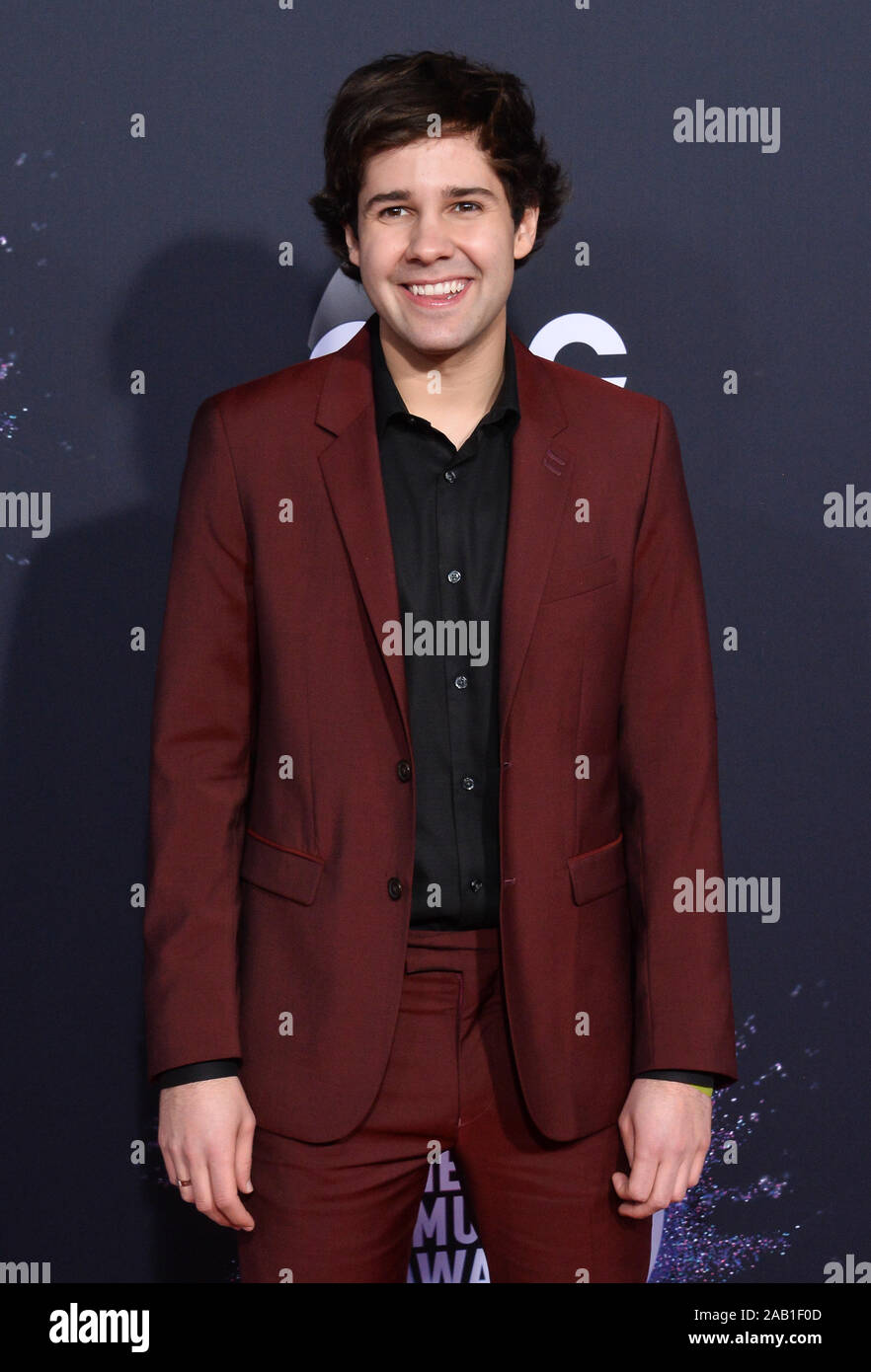 Los Angeles, United States. 24th Nov, 2019. Actor David Dobrik arrives ...