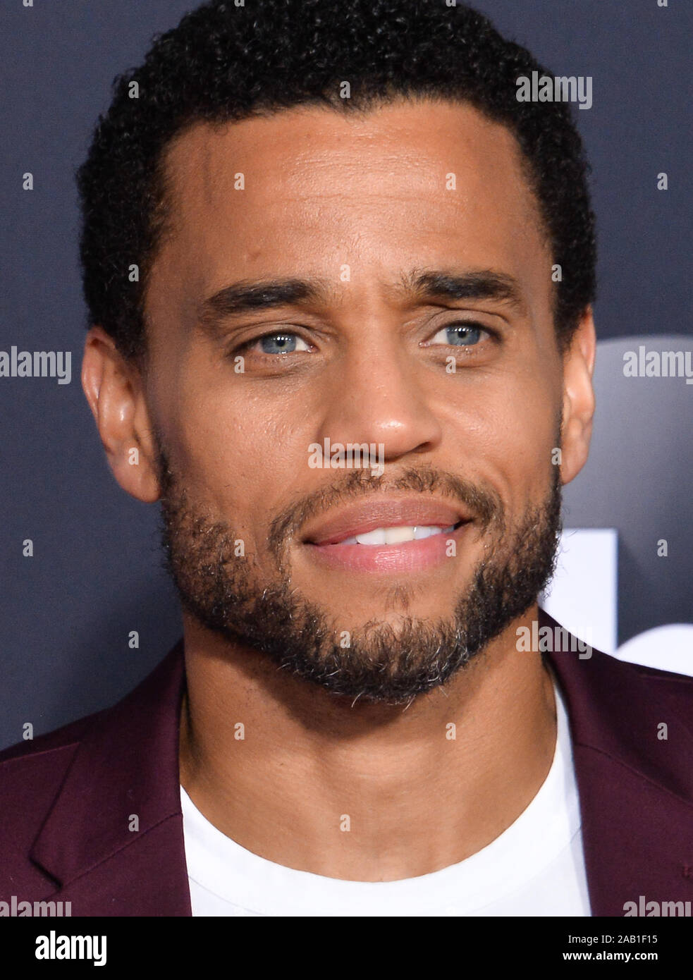 Los Angeles, United States. 24th Nov, 2019. Actor Michael Ealy arrives ...