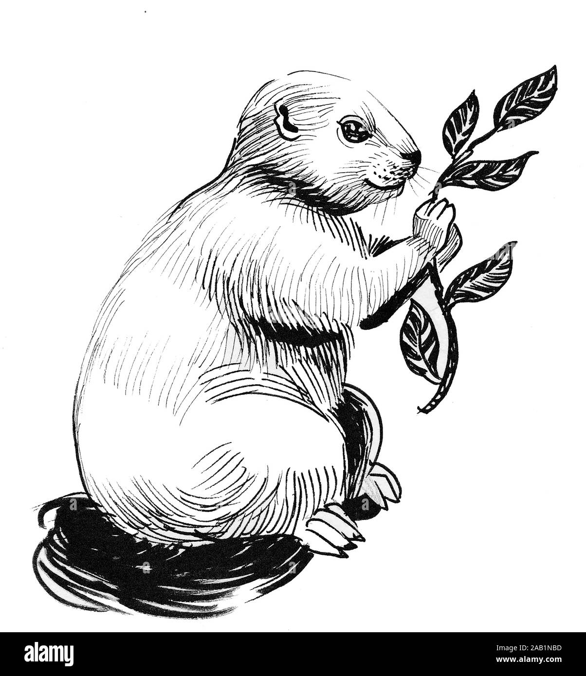 Cute animal eating tree leaves. Ink black and white drawing Stock Photo ...