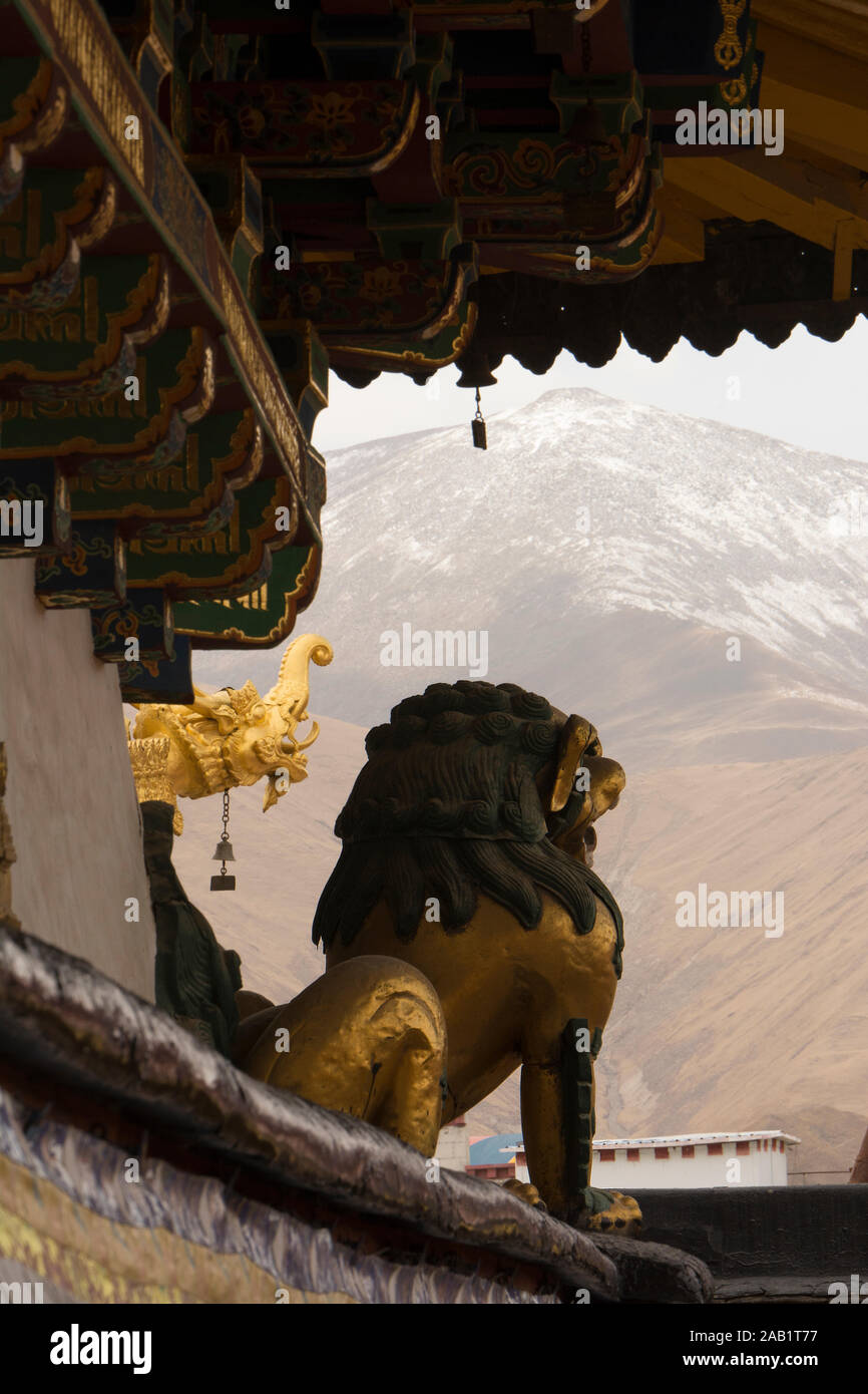 Snow lion tibet hi-res stock photography and images - Alamy