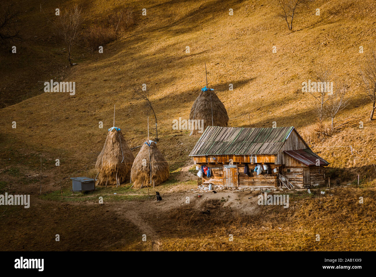 Aerial view bran castle village hi-res stock photography and images - Alamy