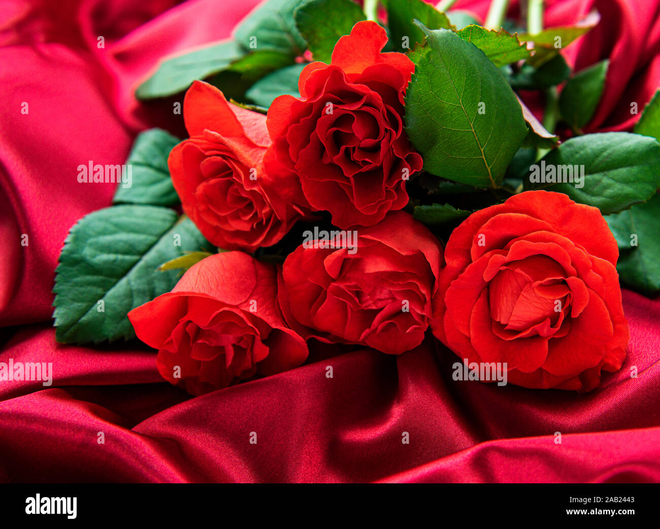 Red Roses bouquet over silk background. Valentines concept Stock Photo ...