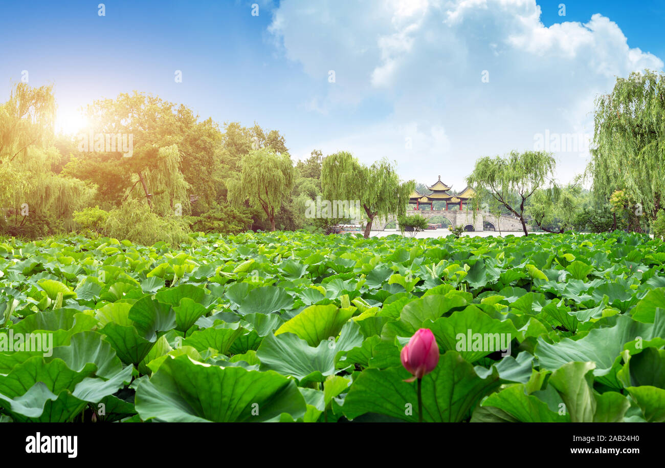 Wuting bridge hi-res stock photography and images - Alamy