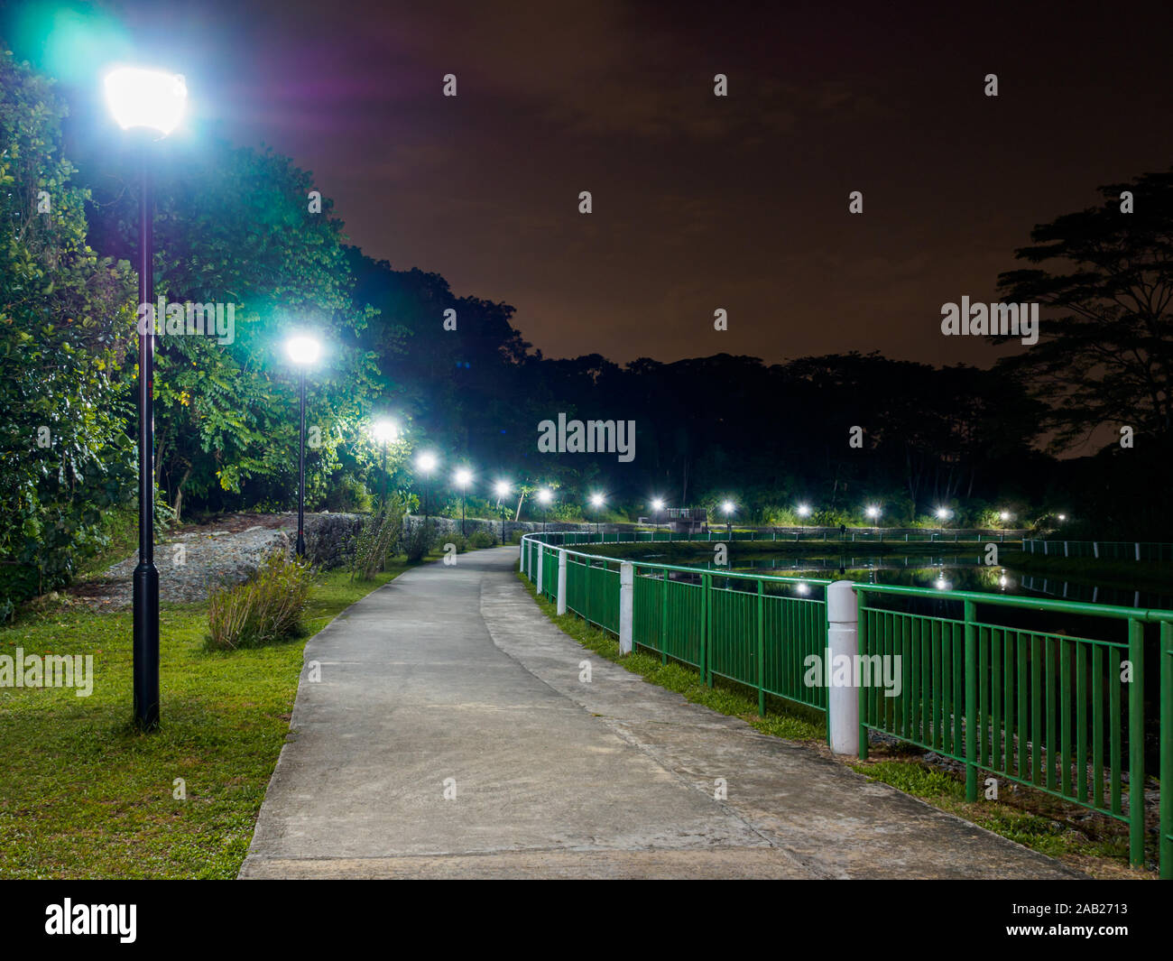 Night view of a curved pathway in Springleaf Nature Park in tropical ...