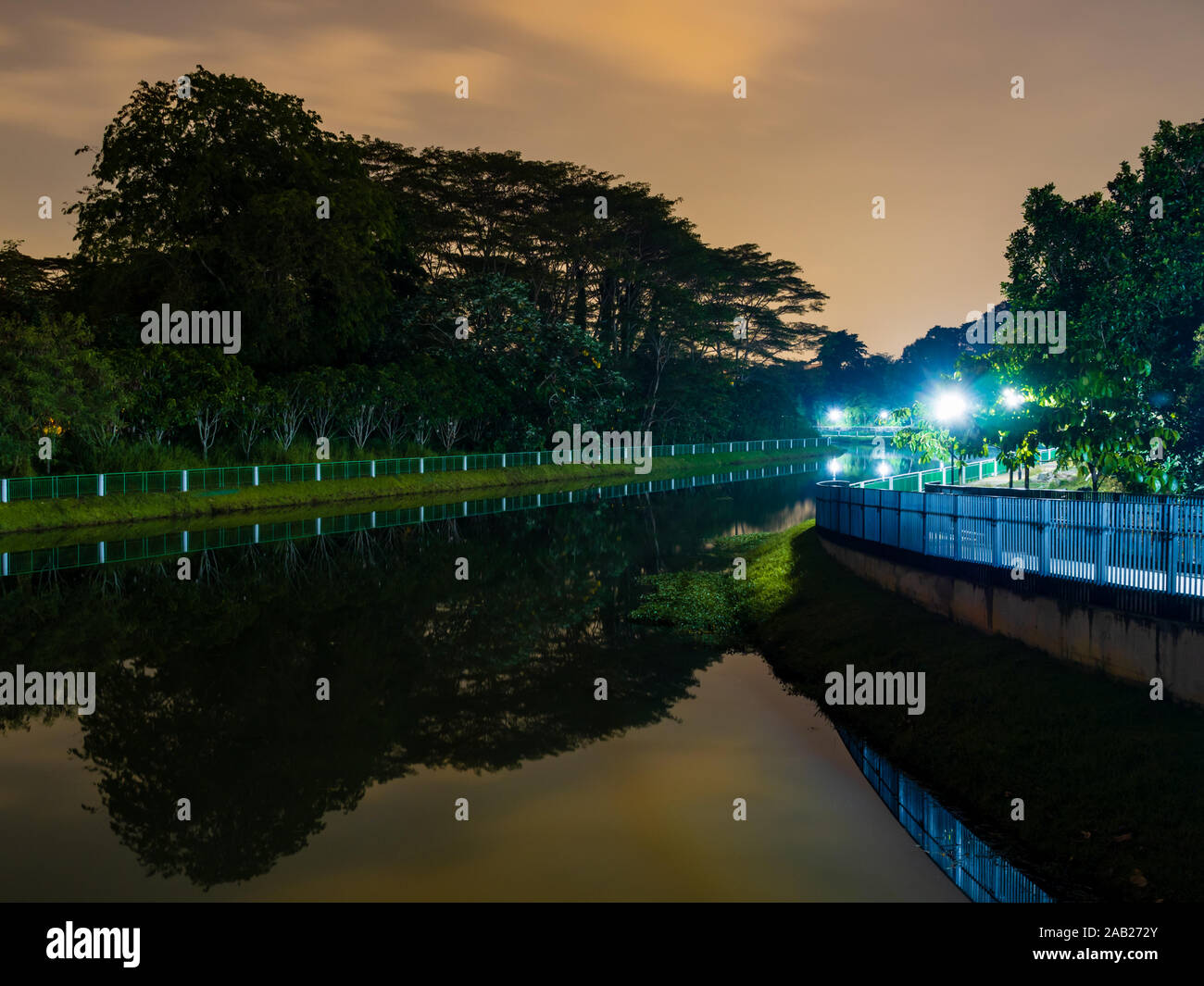 Night view of a lake / waterway in Springleaf Nature Park in tropical ...